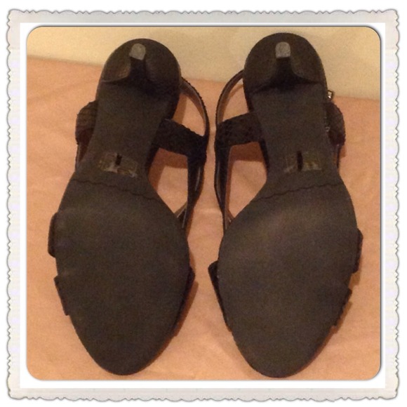 Moda Spana | Shoes | Salemoda Spana Snake Shoes | Poshmark