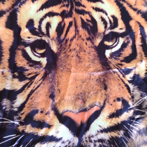 Dresses | Kylie Jenner Tiger Dress | Poshmark
