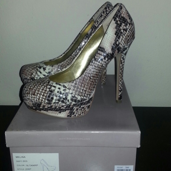 Shoes | Beautiful Snake Skin Multi Colored Heels | Poshmark