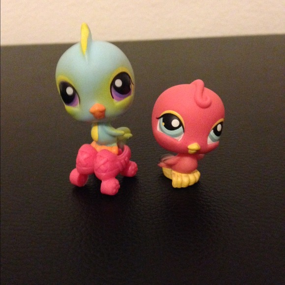 Other | Two Birds Lps | Poshmark