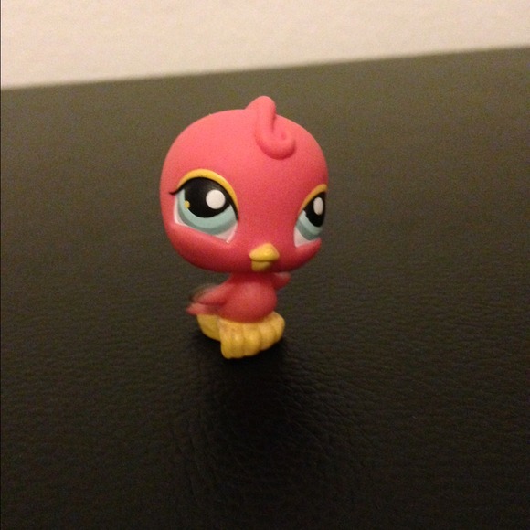 Other | Two Birds Lps | Poshmark