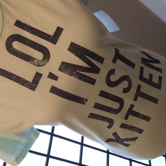 Fifth Sun | Tops | 4 Left Light Mint Lol Im Just Kitten Tshirt | Poshmark