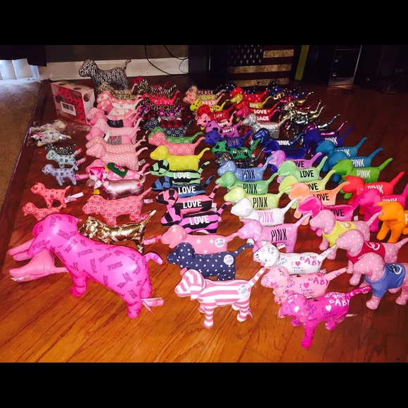 PINK Victoria's Secret | Accessories | My Vs Pink Dog Collection | Poshmark