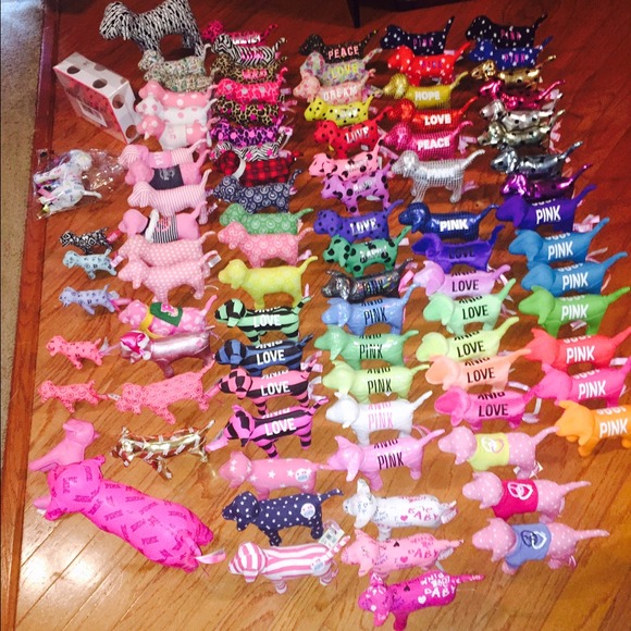 PINK Victoria's Secret | Accessories | My Vs Pink Dog Collection | Poshmark