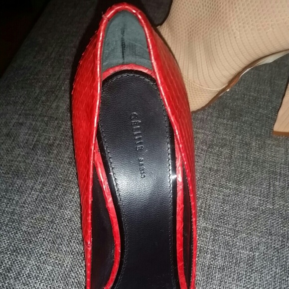 Celine | Shoes | New Pair Of Red Python Skin Leather 5 Inch Pumps ...
