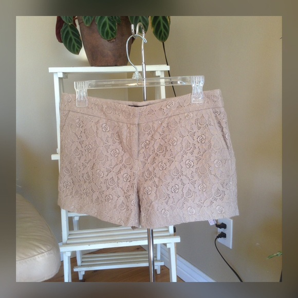 Cynthia Rowley | Shorts | Light Brown Lacy Shorts | Poshmark