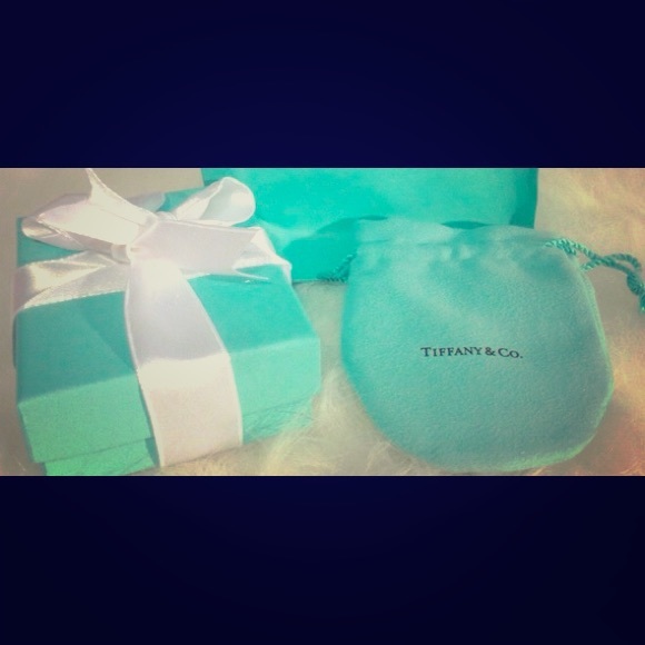 Tiffany & Co. | Accessories | Authentic Tiffany Company Gift Box Pouch ...