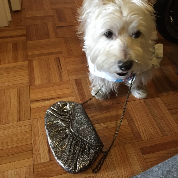 Lauren Merkin | Bags | Laura Merkin Clutch | Poshmark