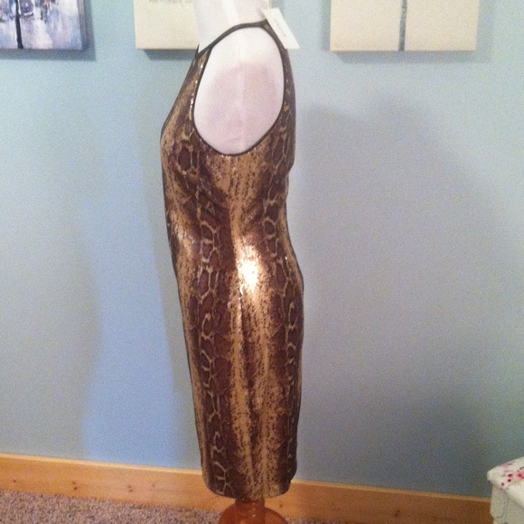 Cache | Dresses | Cache Dress | Poshmark