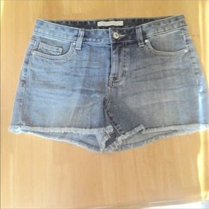 Boston Proper | Shorts | Boston Proper Five Pocket Denim Shorts | Poshmark