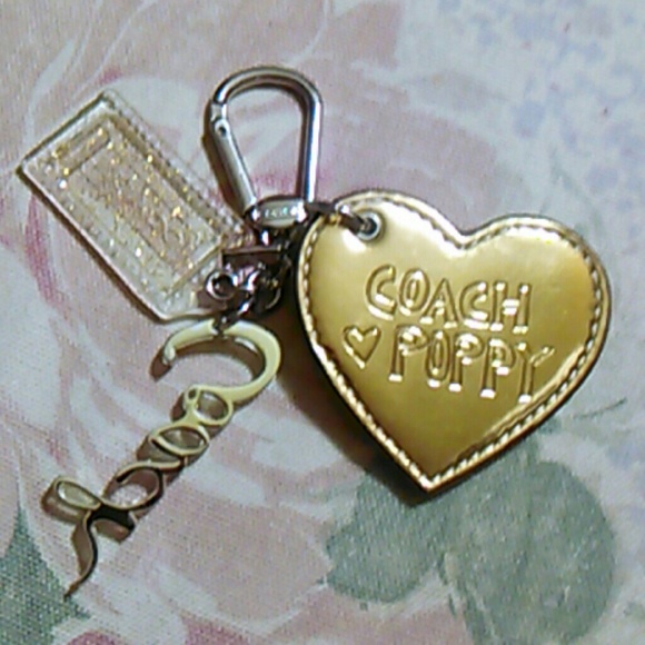 Coach | Bags | Coach Poppy Chan Goldie Keychain Fob | Poshmark