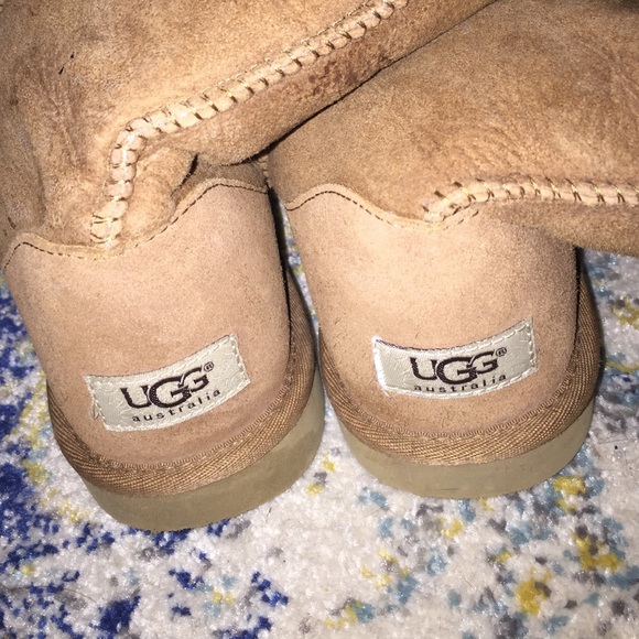 UGG | Shoes | Tall Uggs Tan | Poshmark