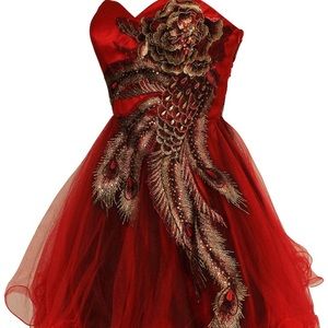 Dresses | Red Lace Homecoming Dress W Feather Accents | Poshmark