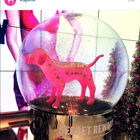 Victoria's Secret | Accessories | Iso For Any Victoria Secret ...