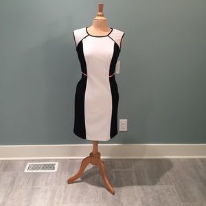 Sandra Darren | Dresses | Sandra Darren Spring White And Black Sheath ...