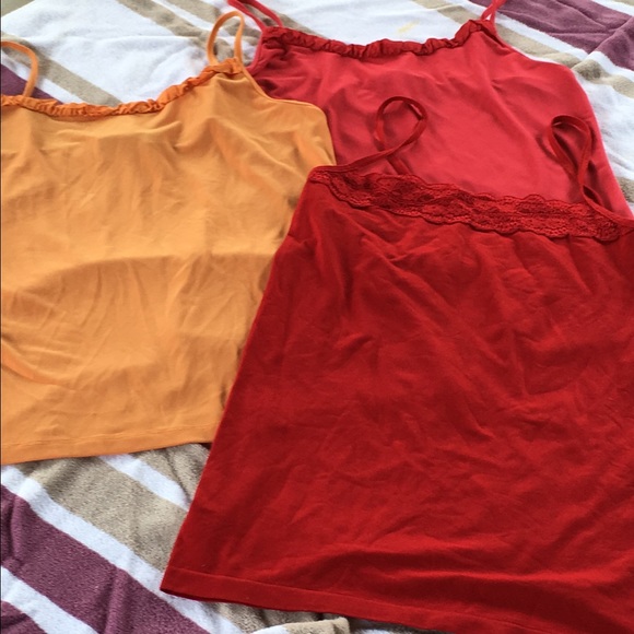 The Limited | Tops | The Limited Cami 3 Piece Lot Size Medium | Poshmark