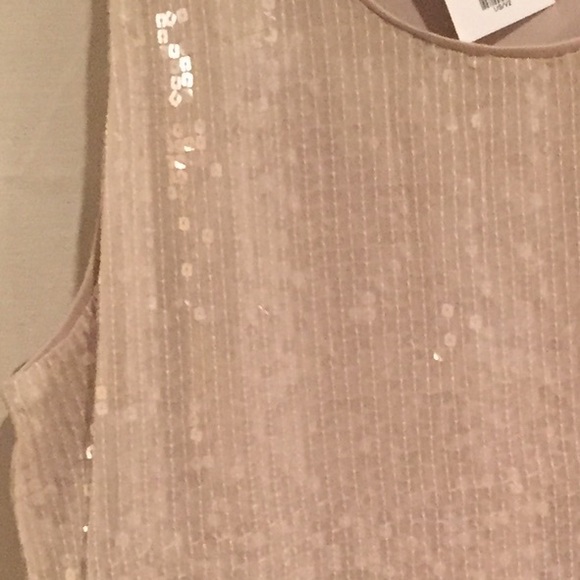 H&M | Dresses | Champagne Sequined Hm Cocktail Dress | Poshmark