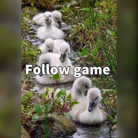 Other | Follow Game | Poshmark