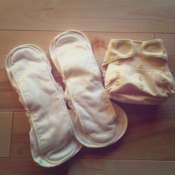 Grovia | Other | Baby Grovia Hybrid Cloth Diaper W 2 Soaker Pads | Poshmark