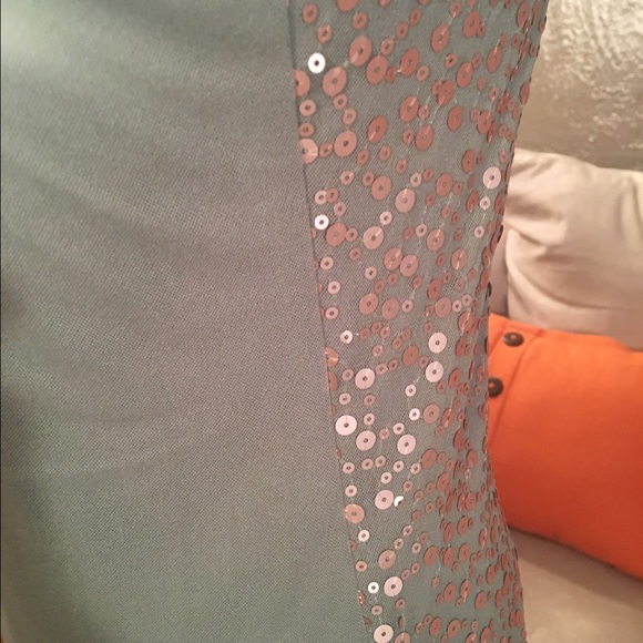 The Limited | Tops | Limited Gold Sequin And Sage Green Mesh Top | Poshmark