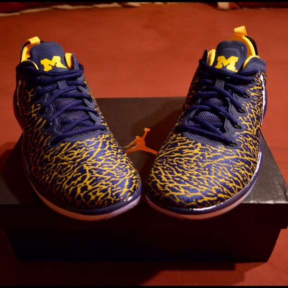 Nike | Shoes | Nike Air Jordan Trainer Low Size 15 Michigan | Poshmark
