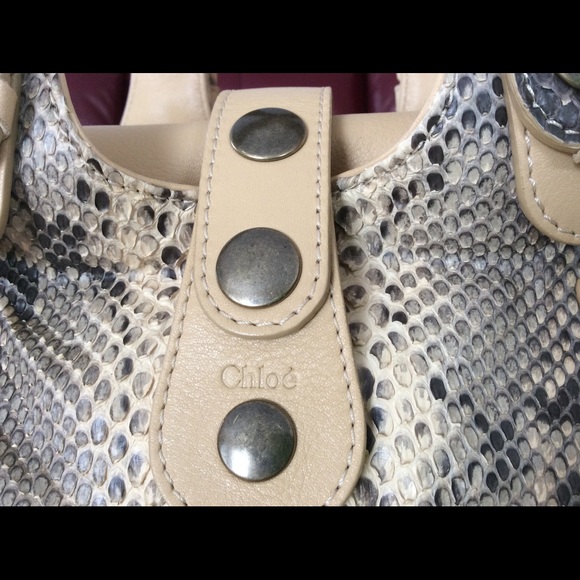 Chloe | Bags | Chloe Authentic Python Silverado | Poshmark