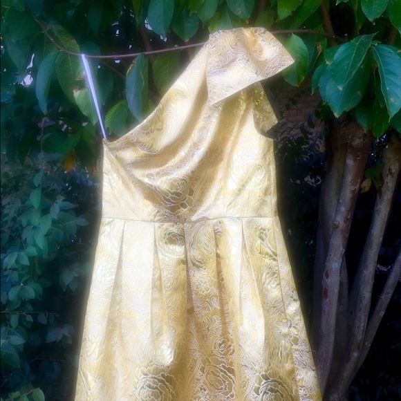 Megan Masters | Dresses | Gold Brocadeshortsemi Formal Dress One ...