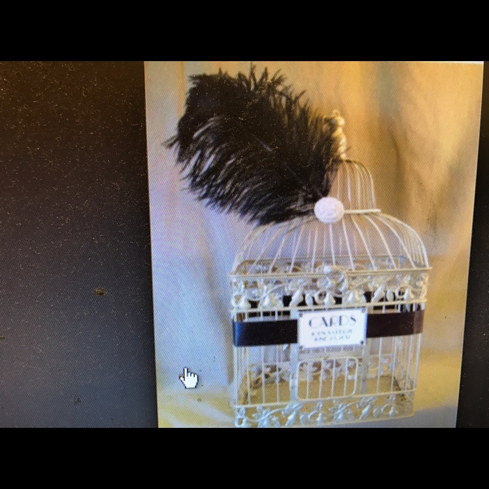 Great Card Cage For Any Event - Gem