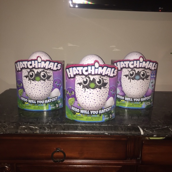hatchimal | Other | Hatchimal Brand New | Poshmark