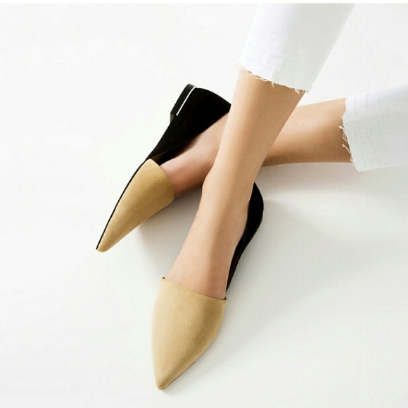 Zara | Shoes | Zara 0 Leather Point Toe Flat Shoe Brand New | Poshmark