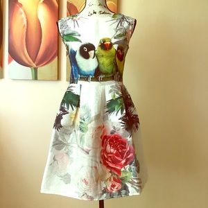 Dresses | Parrots Fit Flare Dress | Poshmark
