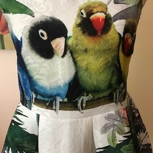Dresses | Parrots Fit Flare Dress | Poshmark