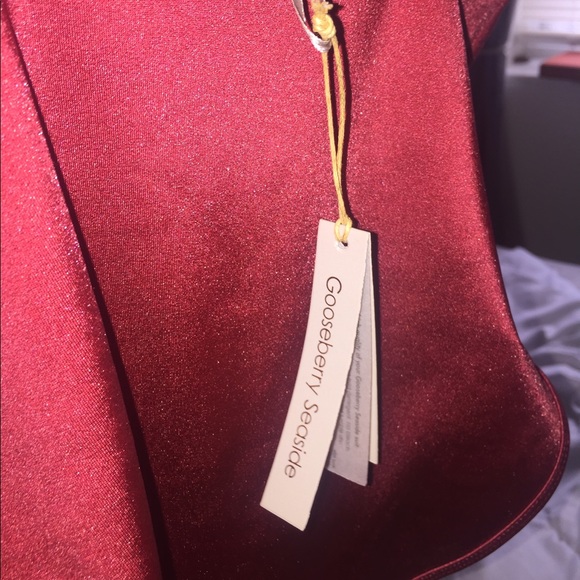 Gooseberry Intimates | Swim | One Piece Swimsuit | Poshmark