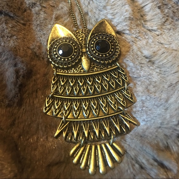 Avon | Jewelry | Avon Owl Necklace Pin Long New | Poshmark