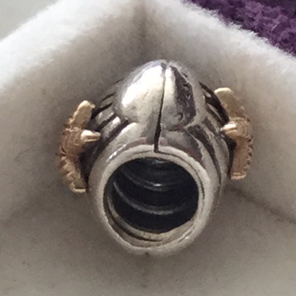 Pandora | Jewelry | Authentic Pandora 2 Tone Seashell | Poshmark