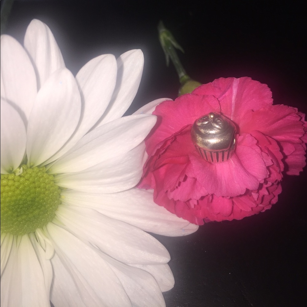 Genuine Retired Pandora Cupcake Charm - Gem