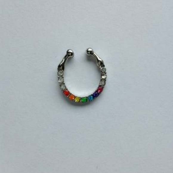Jewelry | New Rainbow Fake Septum Ring | Poshmark