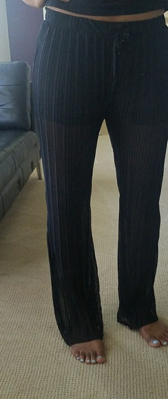 Zara | Pants & Jumpsuits | Zara Balmain Inspired Sheer Pants W Pleats ...