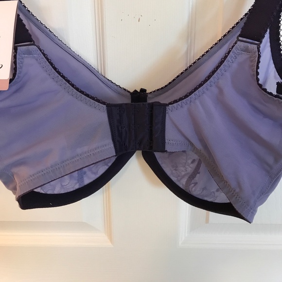 Panache | Intimates & Sleepwear | Deep Lilac Bra By Panache 36k Us ...