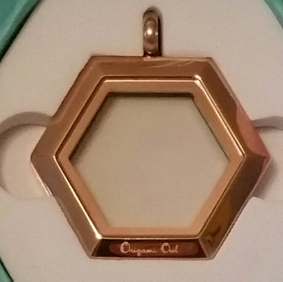 Origami Owl | Jewelry | Origami Owl Rose Gold Hexagon Charm Locket ...