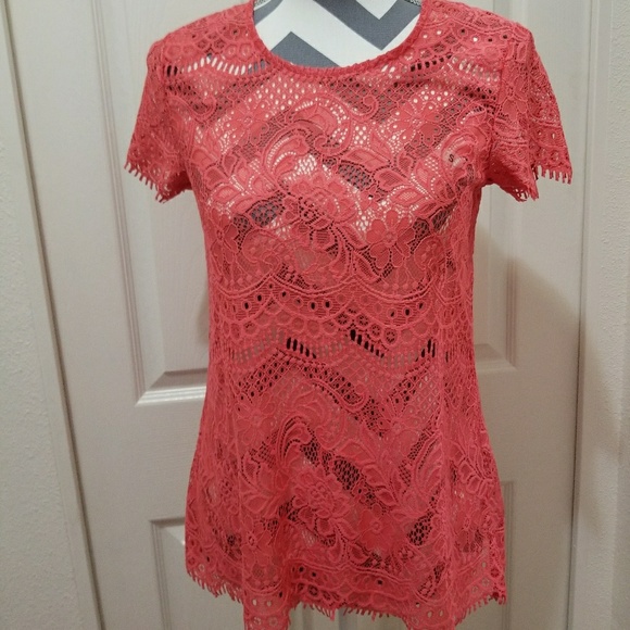Maurices | Tops | Nwt Gorgeous Lace Tee With Scalloped Hem | Poshmark
