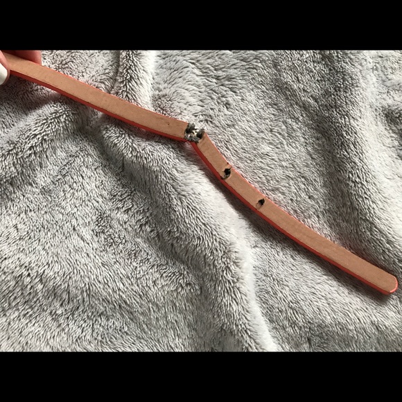 Charlotte Russe | Accessories | Coral Belt | Poshmark
