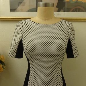 BCBG Paris | Dresses | Bcbg Paris Sophia Polka Dot Short Sleeve Dress ...