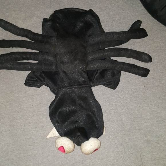 Other | Pet Spider Costume | Poshmark