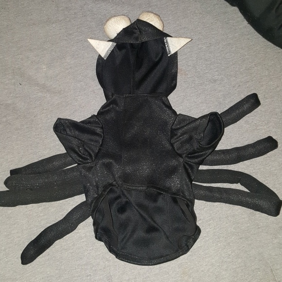 Other | Pet Spider Costume | Poshmark