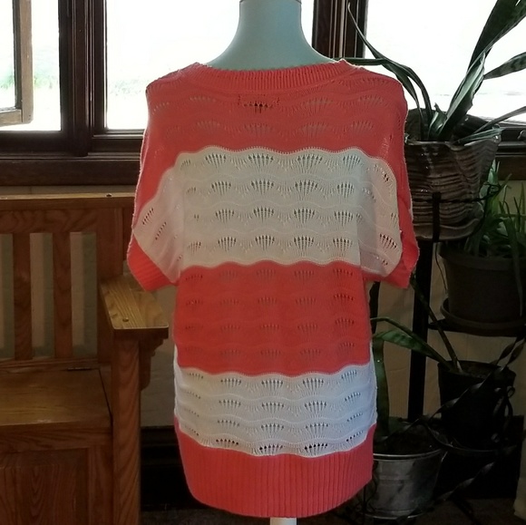 Absolutely Famous | Sweaters | Absolutely Famous Lightweight Sweater ...