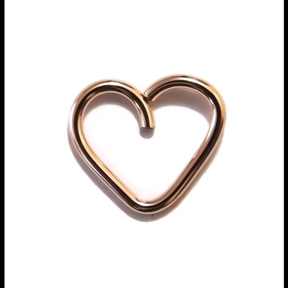Moodtherapy | Jewelry | Heart Daith Earring | Poshmark