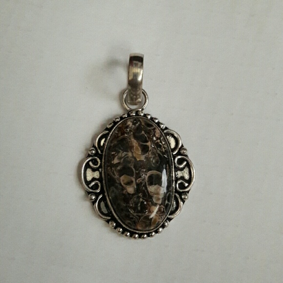 Jewelry | Natural Fossil Pendant Turtella Silver Plated | Poshmark