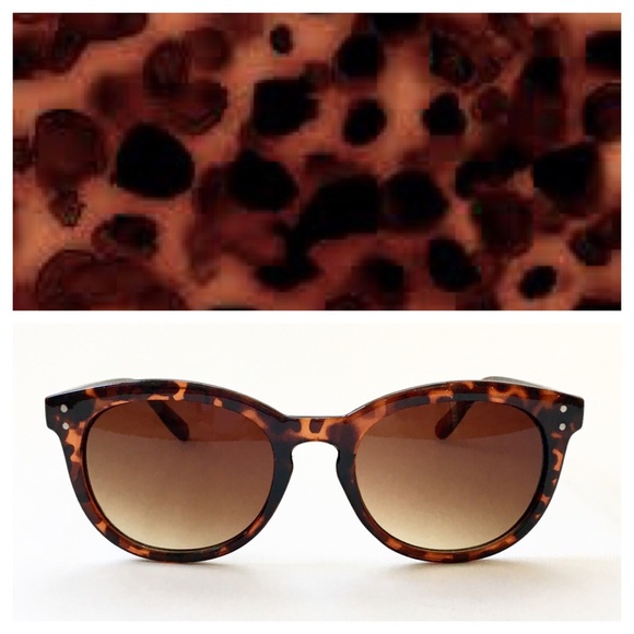 Accessories | On Trend Tortoise Shell Style Fashion Sunglasses | Poshmark