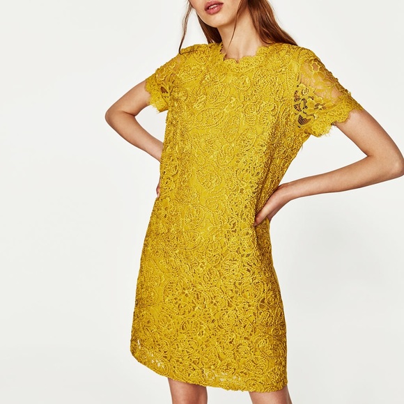 Zara | Dresses | Zara Contrast Lace Dress In Mustard Color | Poshmark